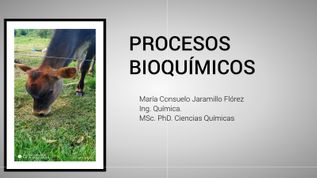 PROCESOS BIOQUIMICOS at emaze Presentation