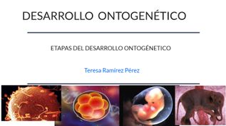 DESARROLLO ONTOGENÉTICO on emaze