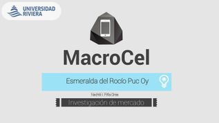 MacroCel at emaze Presentation