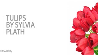 tulips by sylvia plath at emaze Presentation