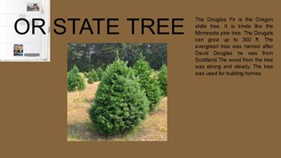 TYLER oregon at emaze Presentation