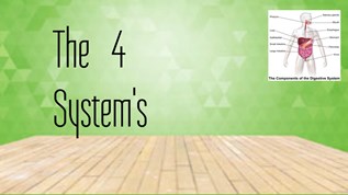 the 4 system at emaze Presentation