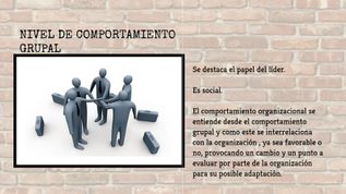 Nivel de comportamiento grupal at emaze Presentation