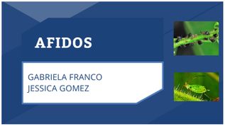 AFIDOS at emaze Presentation