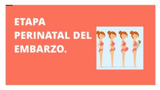 DESARROLLO PERINATAL. at emaze Presentation
