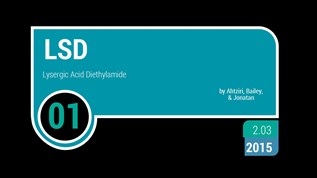 LSD copy1 at emaze Presentation