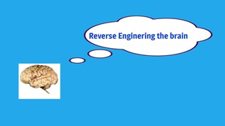 Brain test at emaze Presentation