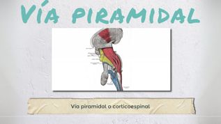 Vía piramidal at emaze Presentation