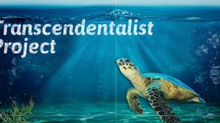 Transcendentalist Project at emaze Presentation