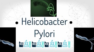 Helicobacter Pylori copy1 at emaze Presentation