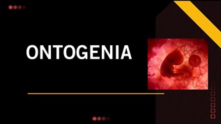 ONTOGENIA at emaze Presentation