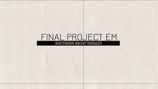 PROJECT EM at emaze Presentation