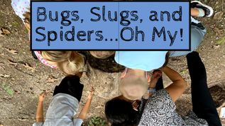 Bugs, Slugs, and Spiders...Oh My! at emaze Presentation