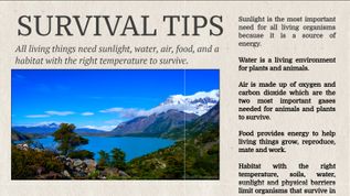survival at emaze Presentation