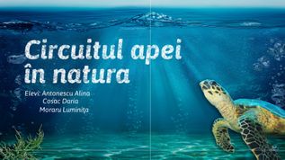 Circuitul apei în natura at emaze Presentation