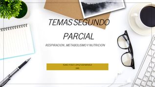 TEMAS SEGUNDO PARCIAL at emaze Presentation