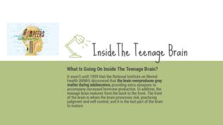 InsideThe Teenage Brain at emaze Presentation