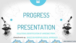 progress PITA at emaze Presentation