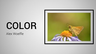 Module 2- Color at emaze Presentation