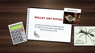 bullet ant at emaze Presentation
