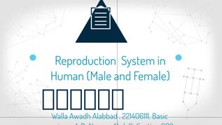 Reproduction System in Human (Male and Female) at emaze Presentation