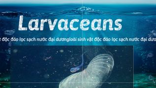 Larvacean at emaze Presentation