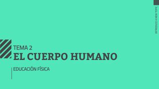 El Cuerpo Humano At Emaze Presentation