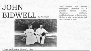 Amethyst John Bidwell at emaze Presentation