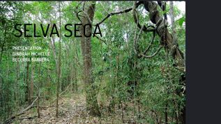 SELVA SECA at emaze Presentation