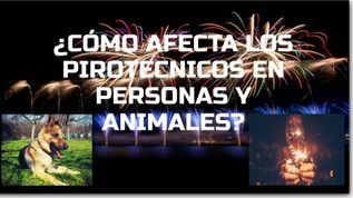 COMO AFECTA LA PIROTE at emaze Presentation