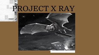 project x ray at emaze Presentation
