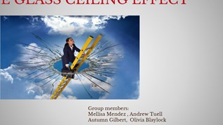 THE GLASS CEILING EFFECTS at emaze Presentation