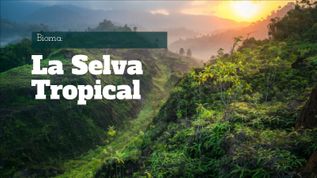La Selva Tropical at emaze Presentation