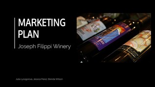 Joseph Filippi Market Plan at emaze Presentation