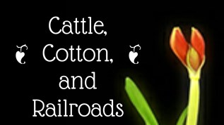 Cattle, Cotton, and Railroads at emaze Presentation