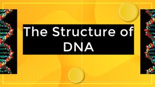 The Structure of DNA at emaze Presentation