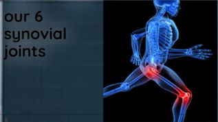 our 6 synovial join at emaze Presentation