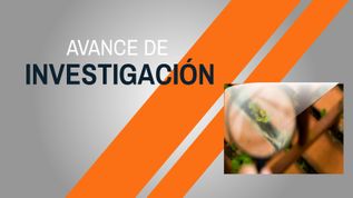 INVESTIGACIÓN at emaze Presentation