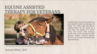 Equine Assisted Therapy for veterans at emaze Presentation