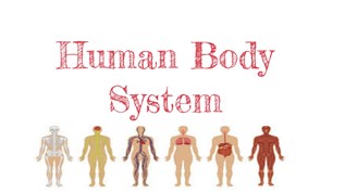 Human Body System at emaze Presentation