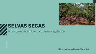 SELVAS SECAS at emaze Presentation