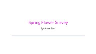 Spring Flower Survey at emaze Presentation