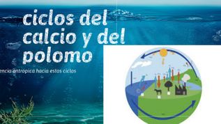 ciclos del calcio y del polomo at emaze Presentation