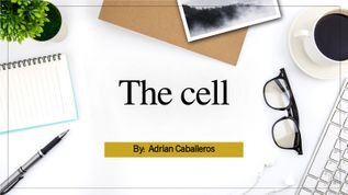 science peresentetion at emaze Presentation