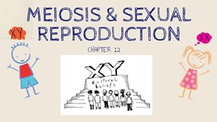 Chapter 12 at emaze Presentation