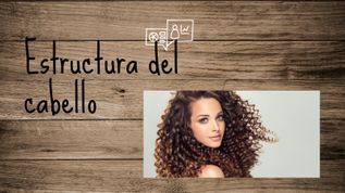Estructura del cabello at emaze Presentation
