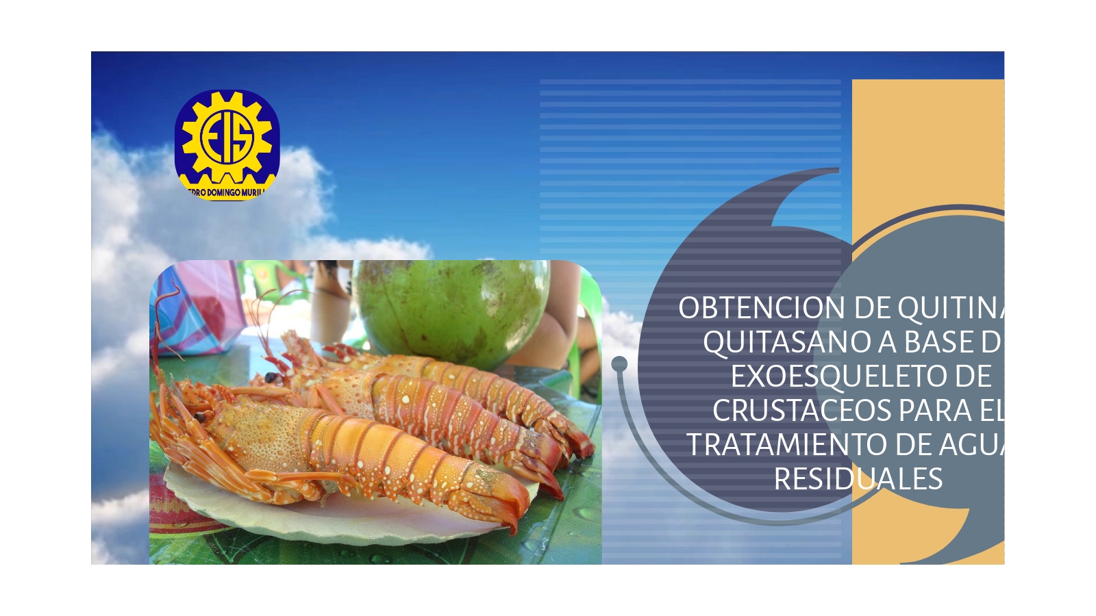 OBTENCION DE QUITINA Y QUITASANO A BASE DE EXOESQUELETOS DE at emaze ...