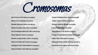 POLYGON at emaze Presentation