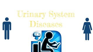 Urinary system diseases on emaze