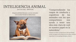 Inteligencia Animal at emaze Presentation